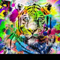 WINDICE - Bitcoin/Cryptocurrency Casino Games (Dice, Roulette & Slots ...